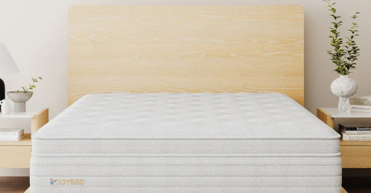 Top Eco-Friendly Mattresses for a Greener Sleep – US Mattress