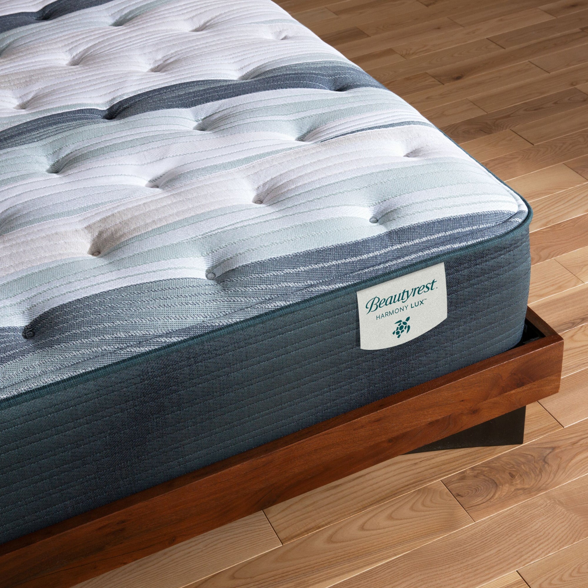 American beauty mattress store